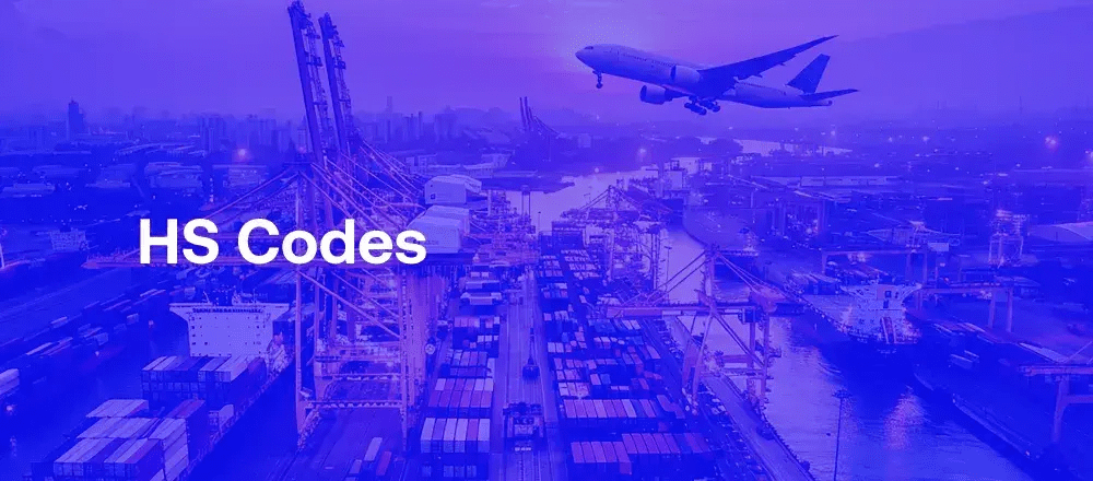 Utilising HS Codes for a Resilient Supply Chain - iCustoms